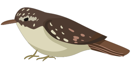 Ruby Robin Award - Activities